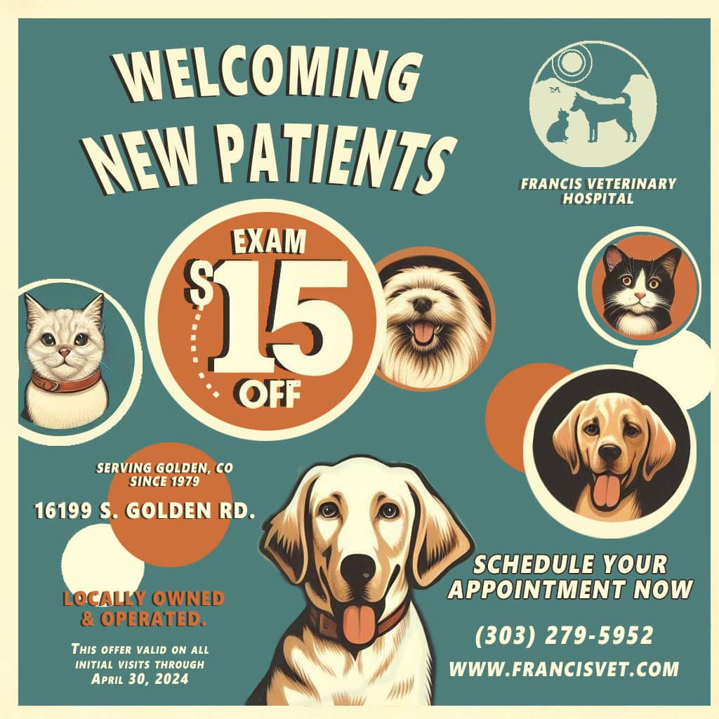 Veterinarian in Golden, CO | Francis Veterinary Hospital
